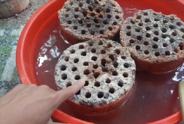 Tự làm cát vệ sinh cho mèo cực đơn giản ngay tại nhà! - Sinh học Việt Nam